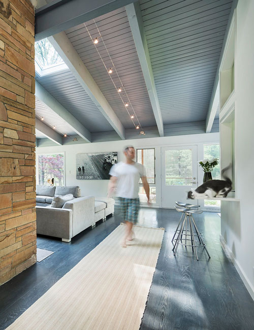 Mid-Century Modern in Lincoln, MA - Flavin Architects